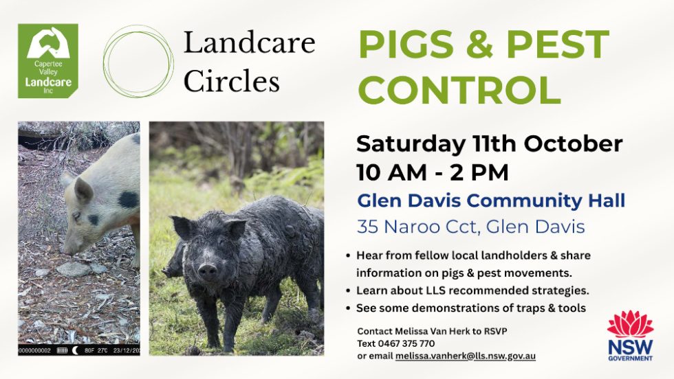 Glen Davis Pigs & Pest Control Workshop | Lithgow City Council